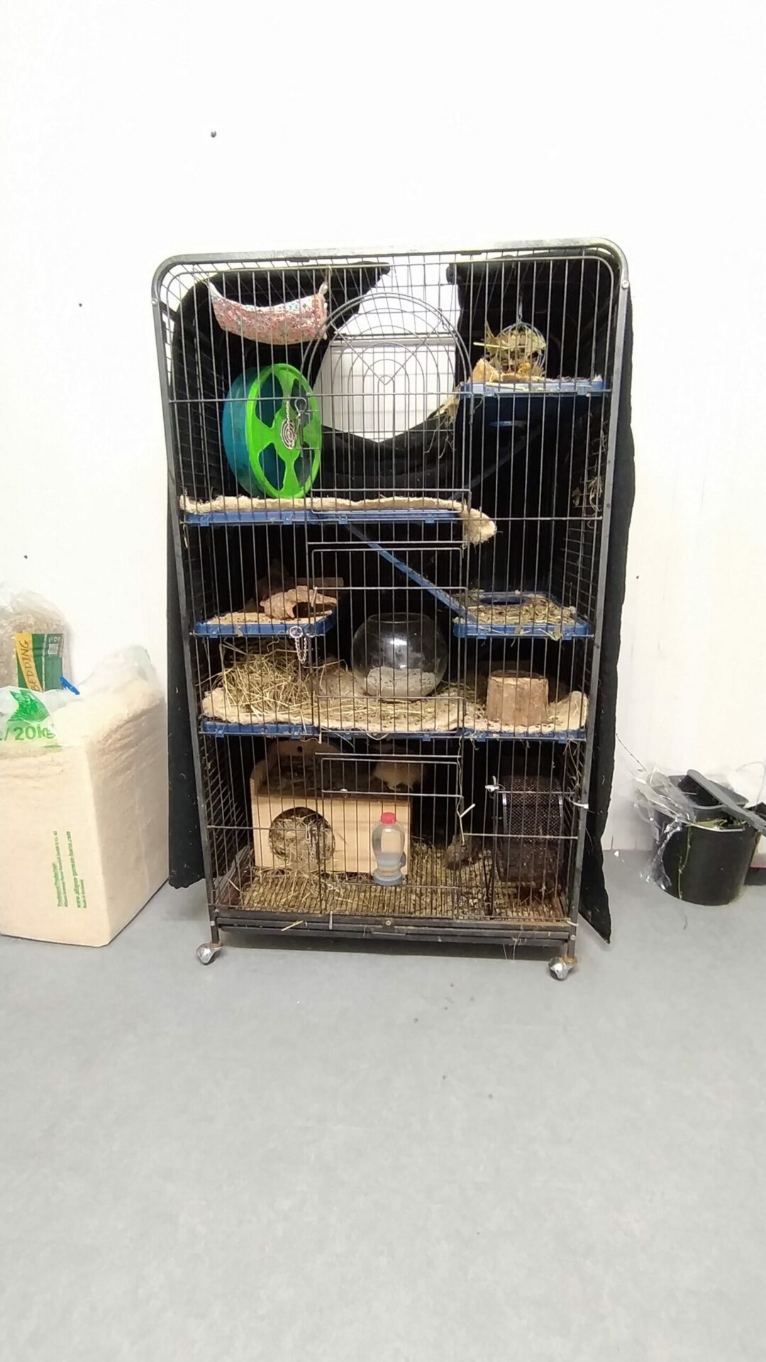 Cage & housing of the degus - World of degus